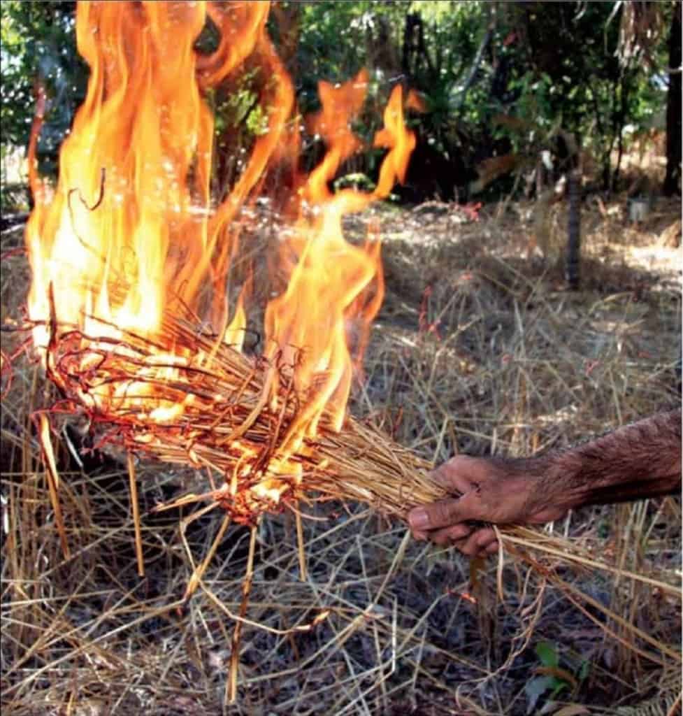 Playing With Fire: A Cultural History of Wildfire in Western Washington ...