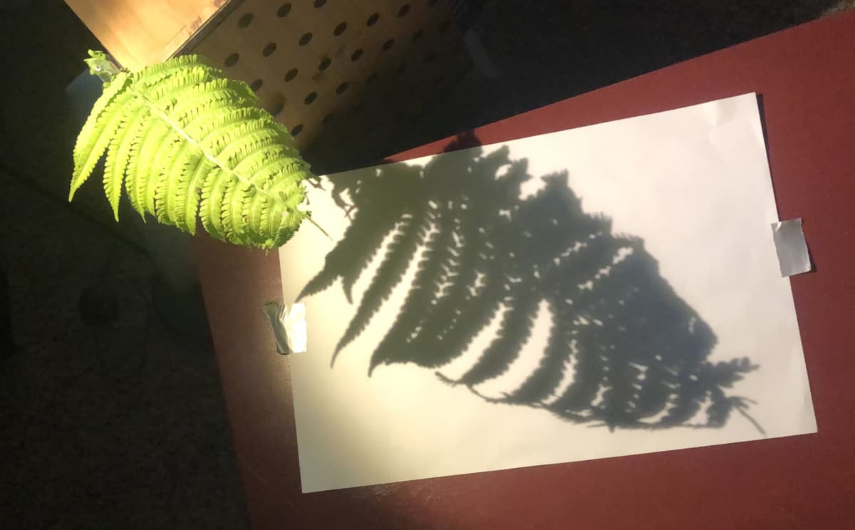 Mountain School @ Home Lesson 11: Shadow Painting & Poetry - North ...