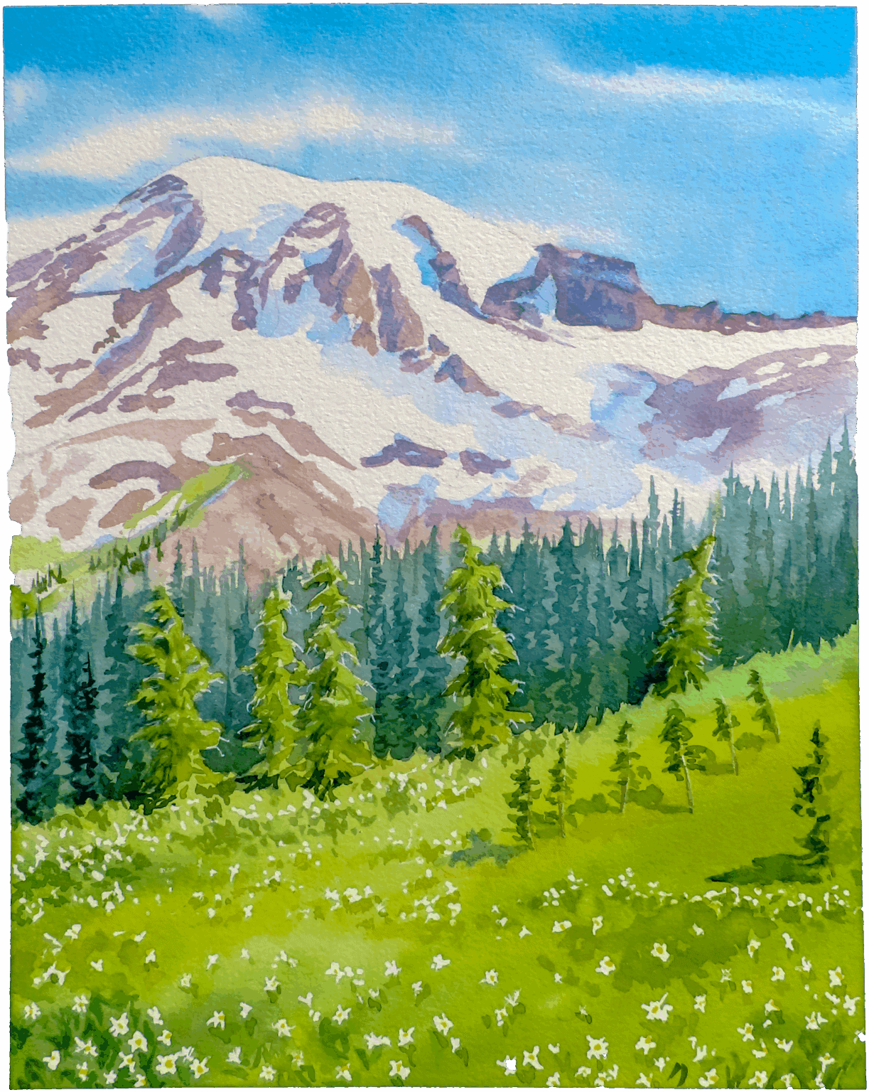 Wildflowers of the West: Alpine & Subalpine Zones - North Cascades ...